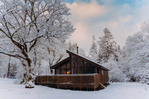 Forest Holidays UK | Cabins & Lodge Holidays
