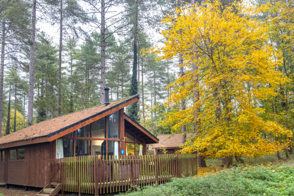 Forest Holidays UK | Cabins & Lodge Holidays