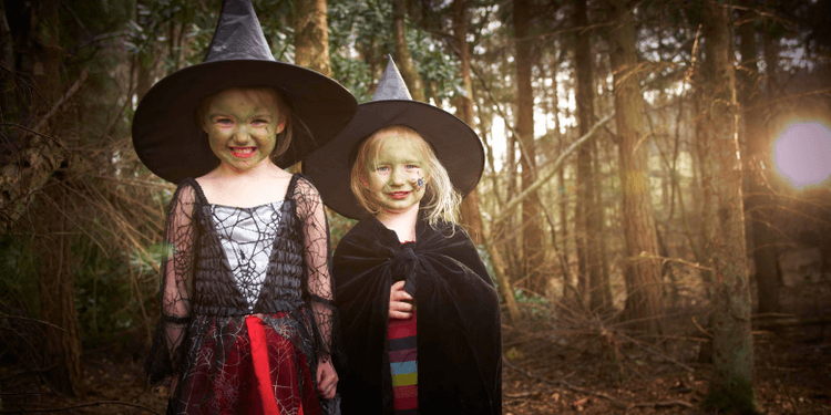 enchanted forest films