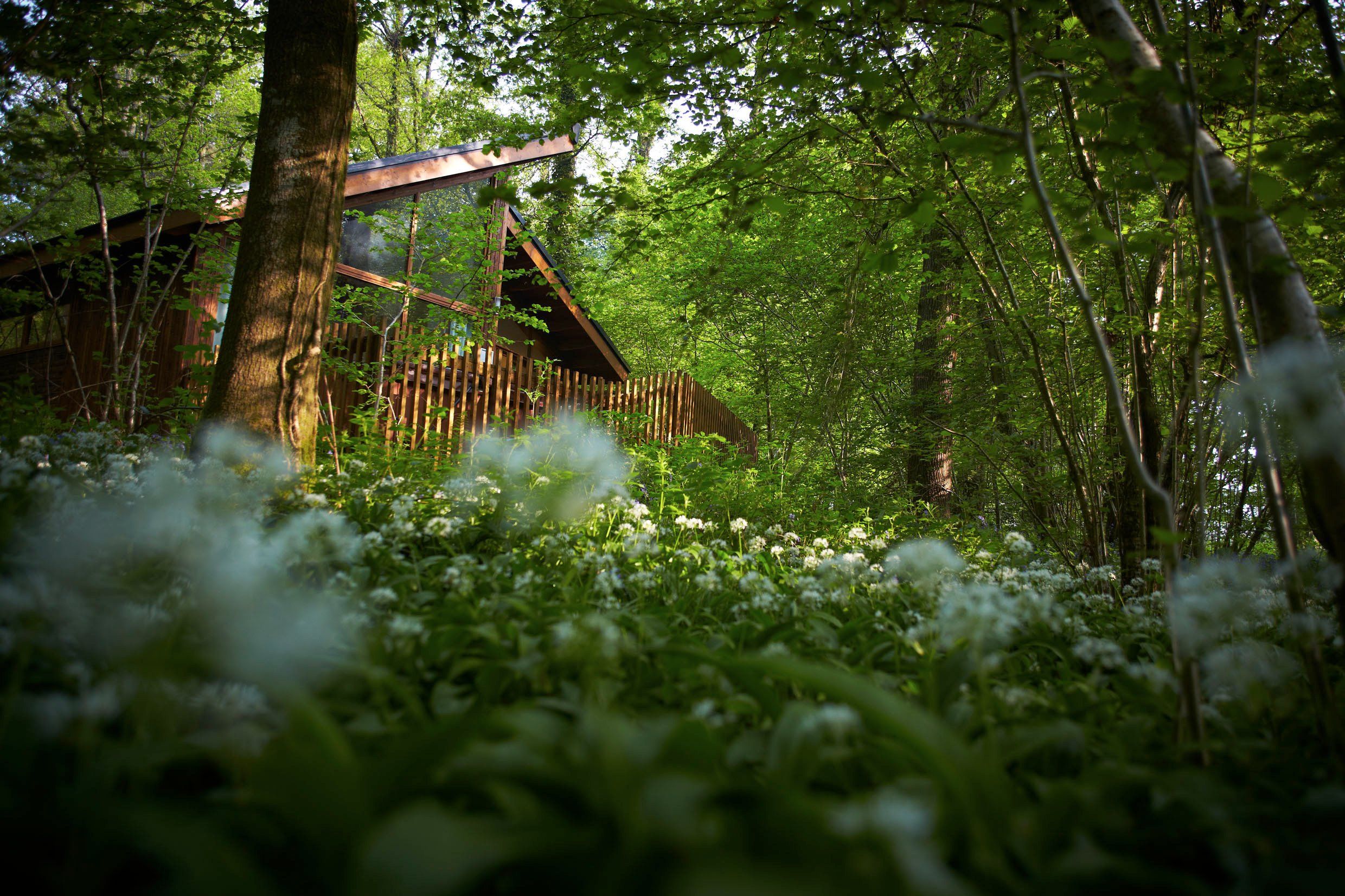 Golden Oak Hideaway